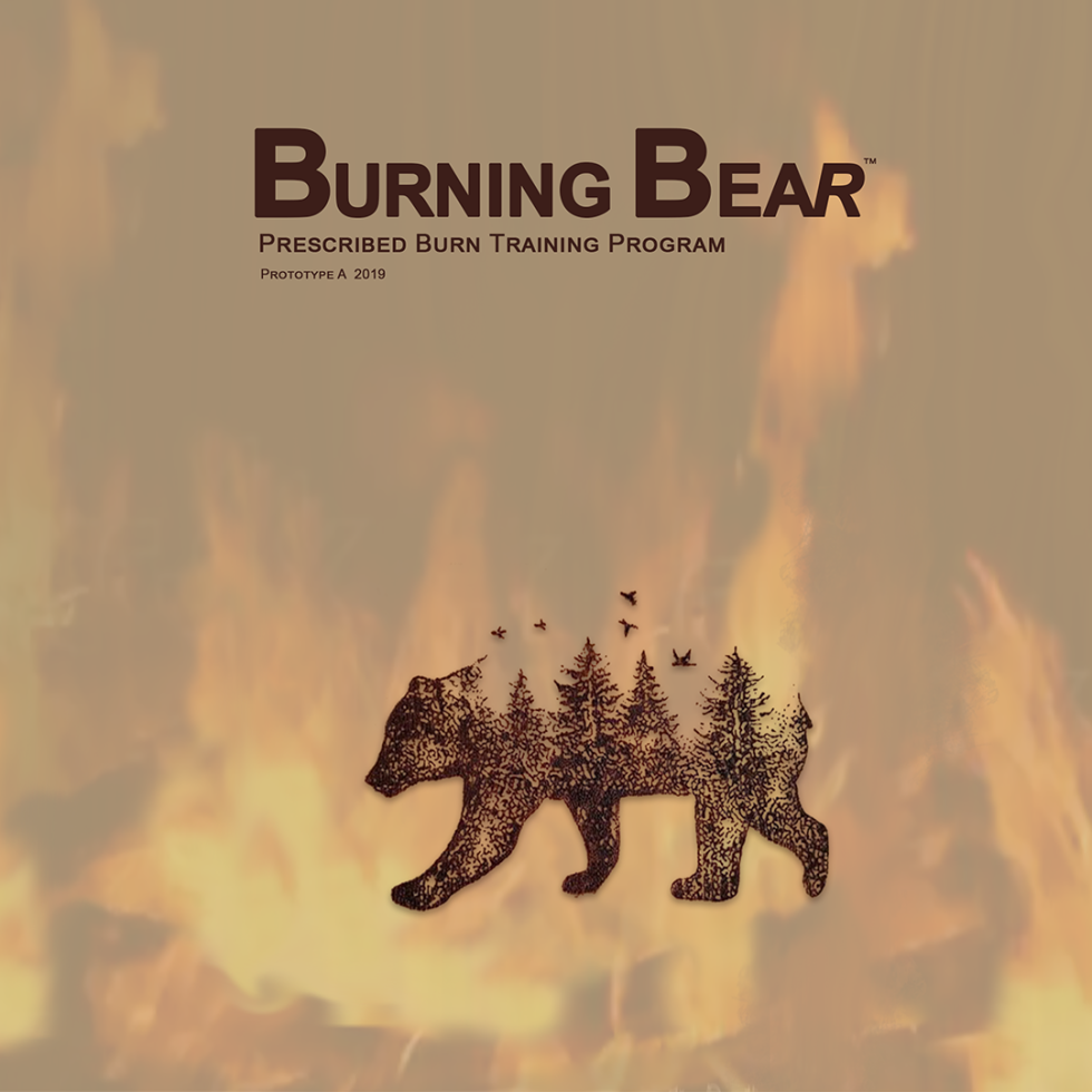 Burning Bear | Lisa Revelli